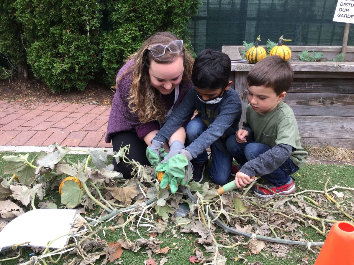Science - North Park Elementary School