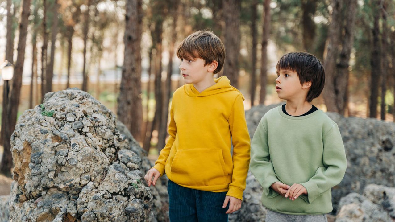 Style Guide | Roycemore School